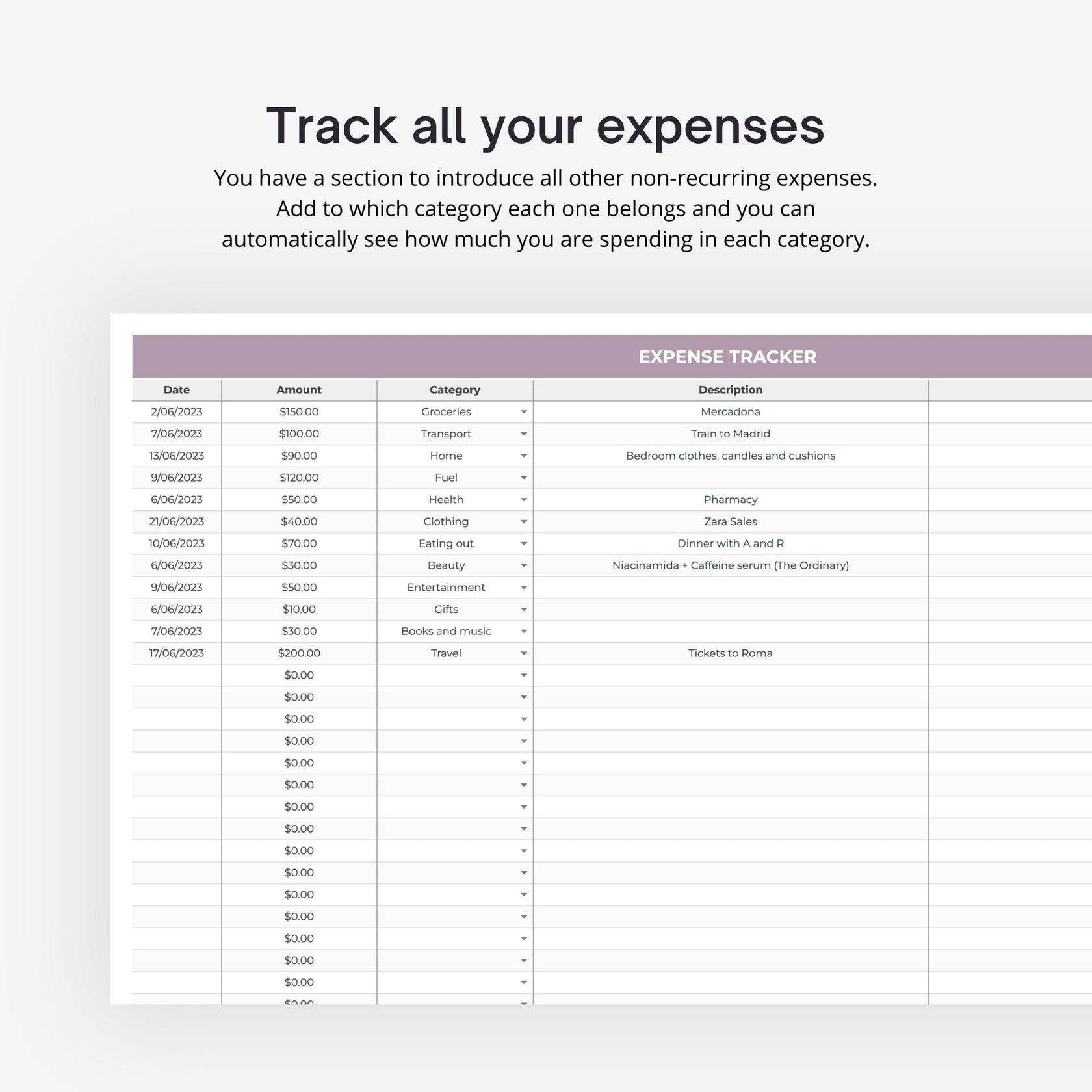 Monthly budget template Google Sheets - Aesthetic spreadsheet – By Inma